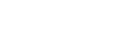 Energex Partners